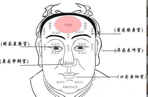 面相学认为成功人士脸上有这六种特征