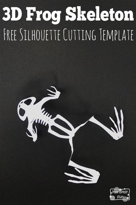 3d Frog Skeleton Silhouette Template Artofit