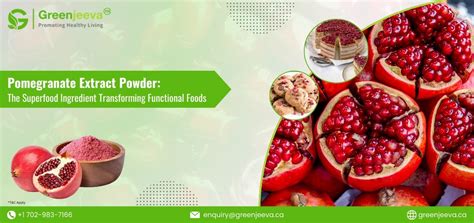 Pomegranate Extract Powder Dietary Ingredients Supplier Canada