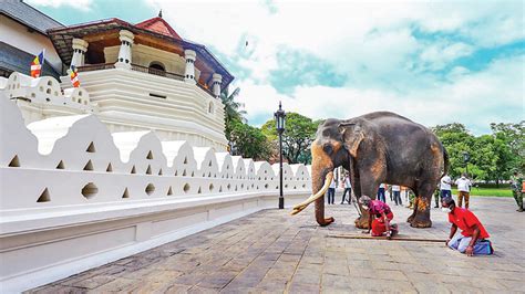 State Ministry Of Rural Housing And Constructions 2021 03 16 නිවාස විෂයභාර අමාත්‍ය සහ අතිගරු