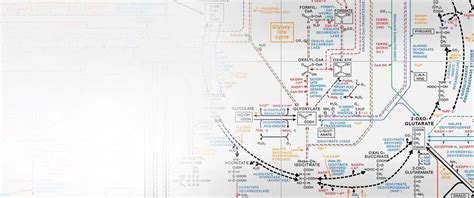 Visual Graph Visualize And Manipulate My Nodes Via A Graph View Tana