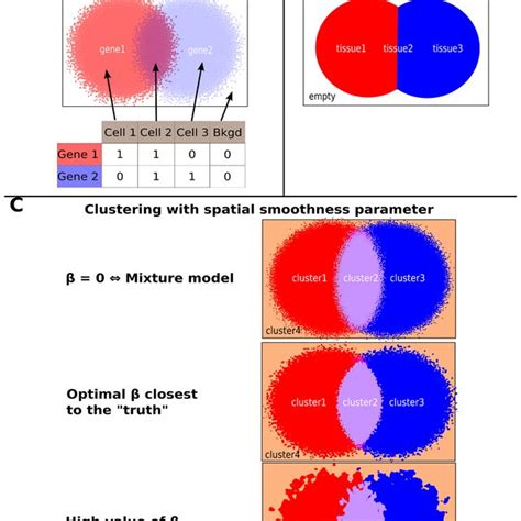 Schematic Representation Of The Influence Of Spatial Coherence When