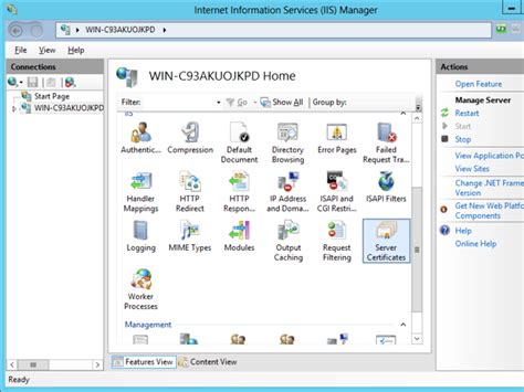 Windows Server Hosting Service Upwork