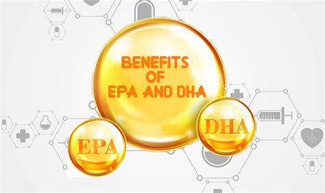 Benefits Of Epa And Dha The Wellness Corner