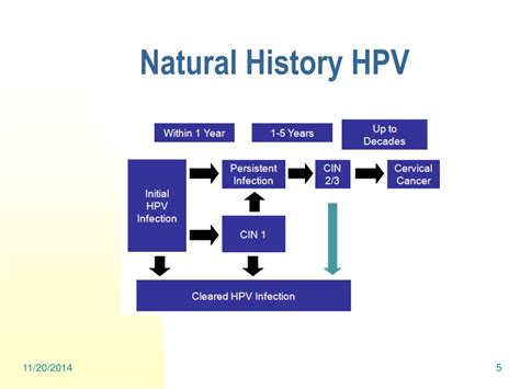 Ppt Hpv Prevention Screening And Management Powerpoint Presentation