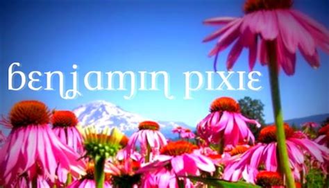 Benjamin Pixie Summer Tour 2017