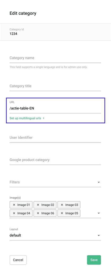 How To Set Up Multilingual Urls Colengo