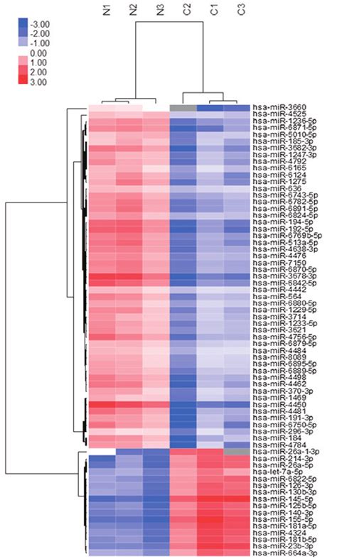 Hierarchical Clustering Of Mirnas Between Normal And Tumor Tissues Download Scientific Diagram