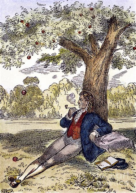 Isaac Newton And The Apple Photograph By Granger