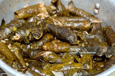 아랍 이집트의 전통 요리 Mahshi 또는 흰 쌀 양파 파슬리 딜 토마토 및 고수풀로 채워진 포장 된 포도 잎 돌마데스에 대한
