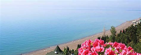 Отдых в Рыбачьем, Отдых в Крыму без посредников | Усадьба «Лукоморье»