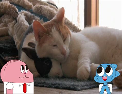 Nicole Is A Cat Richard Is A Bunny By Conikiblasu Fan On Deviantart