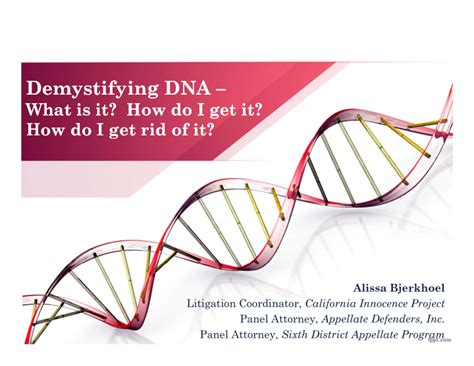 Ppt Demystifying Dna Demystifying Dna What Is It How Do I Get It