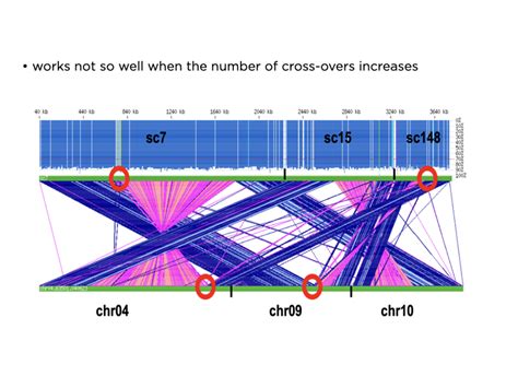 Introduction To Circos Circos Circular Genome Data Visualization