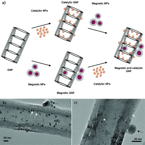 A Schematic Showing The Two Different Approaches Taken To Form Download Scientific Diagram