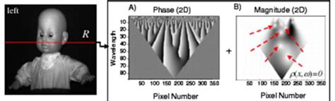 scalogram representation the scalogram for a given row r is
