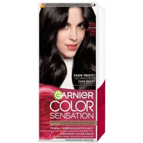 Garnier Color Sensation Krem Koloryzujący Do Włosów 2 0 Hebanowa Czerń