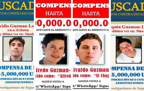 Los Chapitos Quiénes Son Y Cómo Operan En México Y Estados Unidos