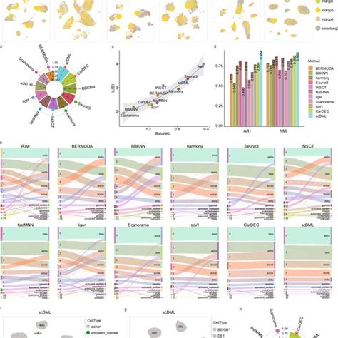 ScDML Enables Cross Species Integration For The Human And Mouse Lung Download Scientific