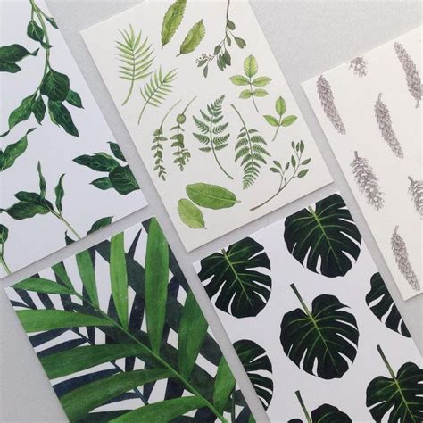 Instagram의 일러스트레이터 전유리 자연이 만들어준 색님 🌿 식물 일러스트 엽서 레몬트리 잎사귀패턴 아레카야자 몬스테라 솔방울패턴 순입니다 100
