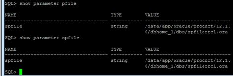 oracle的参数文件pfile和spfile 小强斋太 博客园