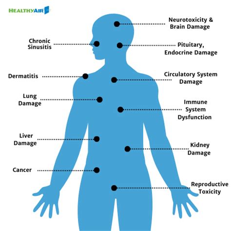 All About Mold Healthy Air Usa