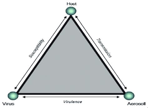 Epidemiological Triangle For The Disease Of Influenza Download