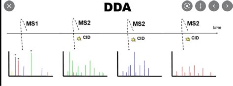 Proteins Play Different Roles Transporter Enzymes Anchor Interact