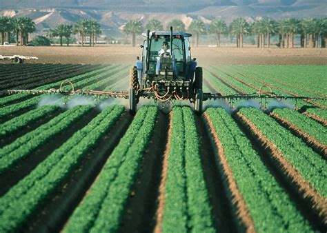 Monoculture The Problems With Single Species Farming