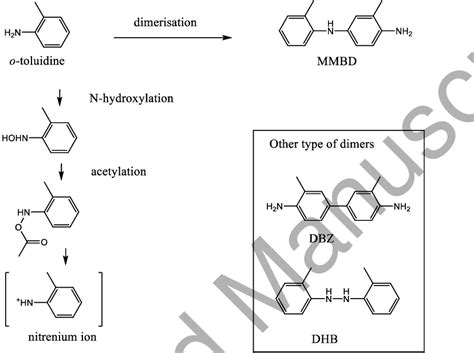 Conversion Of O Toluidine To Its Reactive Nitrenium Ion Via