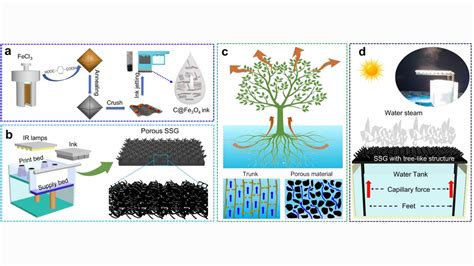 3d Printed Microstructure Forest Facilitates Solar Steam Generator Desalination Aip Publishing Llc