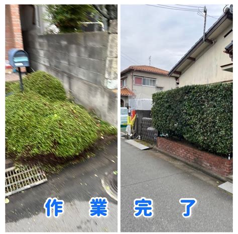 和歌山市庭木お手入れ 和歌山便利屋助さん 和歌山便利屋助さん お仕事日記