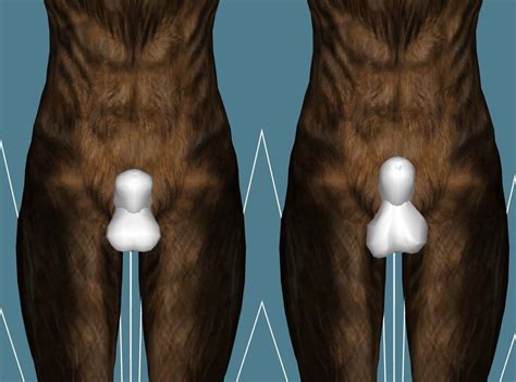 Sexualized Werewolves For Cohr Page 2 Downloads Oblivion Adult And Sex Mods Loverslab