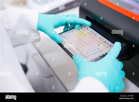 Scientific Puts Microplate Into Microplate Spectrophotometer To Analyze Multiple Samples For