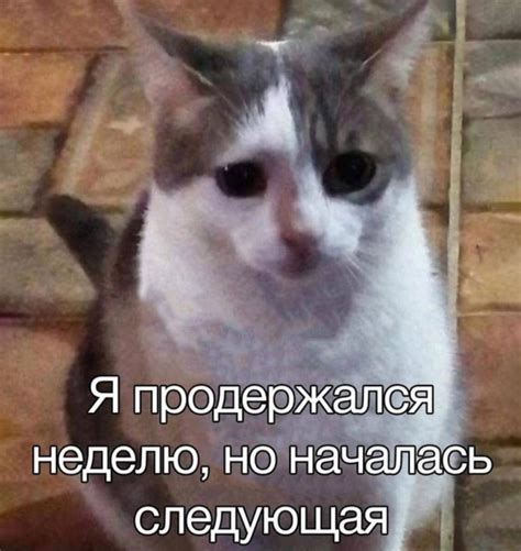 Можно ли перевестись на другую специальность в ВУЗе и как это сделать Multiwork