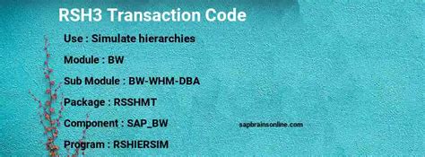 Rsh3 Sap Tcode For Simulate Hierarchies