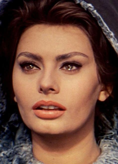 Sophia Loren Sophia Loren Sophia Loren Images Sofia Loren