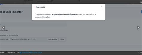 Unable To Import Chart Of Accounts With Account Numbers · Issue 32815