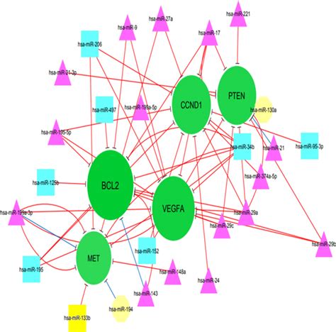 The Sub Network Showed The Potential Hub Gene Nodes Nodes With Over 9
