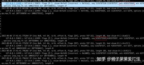 tcpdump详解 实战 知乎