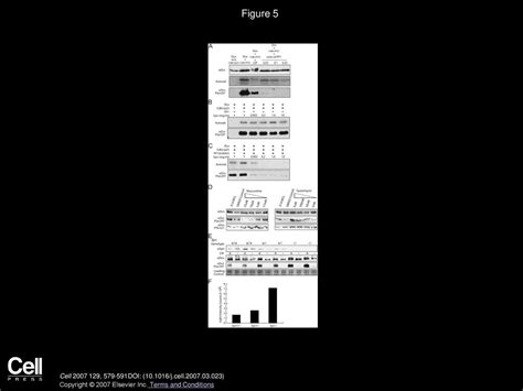 Volume Issue Pages May Ppt Download