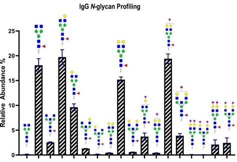 Video N Glycan Profiling Of Glycoproteins By Hydrophilic Interaction Liquid Chromatography With