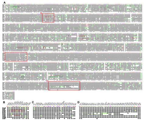 Core Genome Alignment Of The Bacillaceae Dataset A Entire Alignment Download Scientific