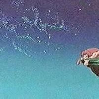 Related Sub Entries For The Lion King Know Your Meme