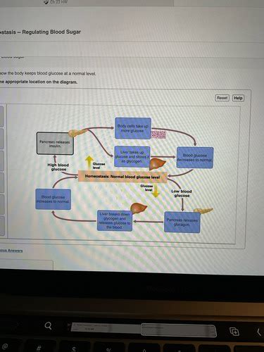 CH HW Flashcards Quizlet