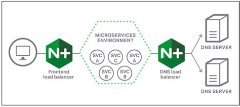 Dns 트래픽 Nginx로 로드 밸런싱 Nginx Store