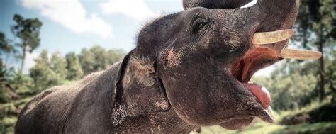 Gabriele Bartolini On Linkedin Cnpg Recipe 14 Useful Command Line Tools