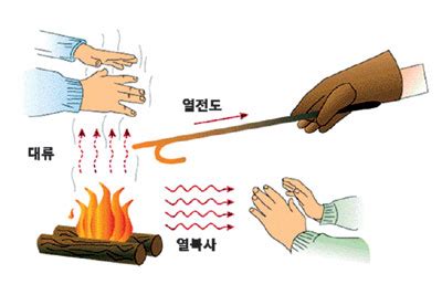 술술 논술 열복사ㆍ전도ㆍ증발 통해 우리몸이 열을 방출하죠 매일경제 술술 논술 열복사ㆍ전도ㆍ증발 통해 우리몸이 열을 방출하죠 매일경제