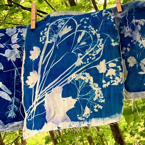 Printing On Fabric Cyanotype At James Barry Blog