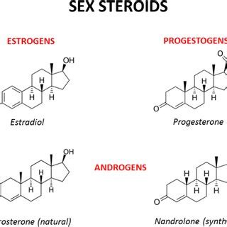 Chemical Structures Of The Main Male And Female Sex Hormones And The Download Scientific